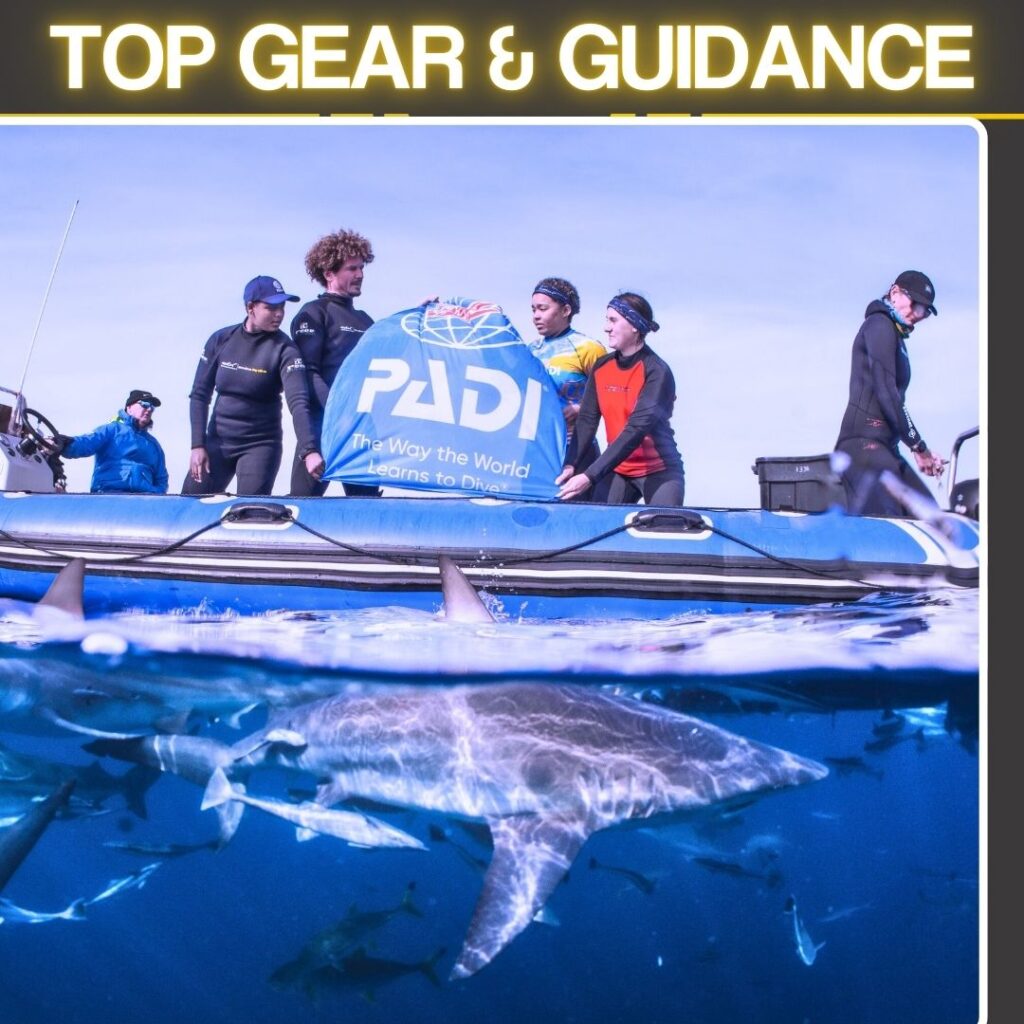 The Ultimate Sardine Run Adventure | Blue Ocean Dive Resort